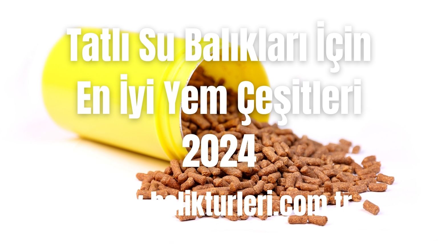 Tatlı Su Balıkları İçin En İyi Yem Çeşitleri 2024 • Balık Türleri